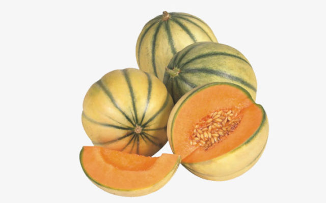 De beste 19 soorten meloenen en wat er onderscheidend aan is?